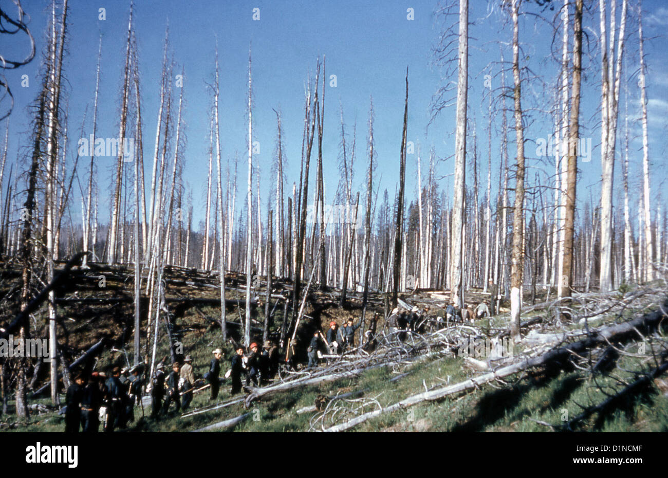 Yellowstone National Park Firefighters Stock Photo - Alamy