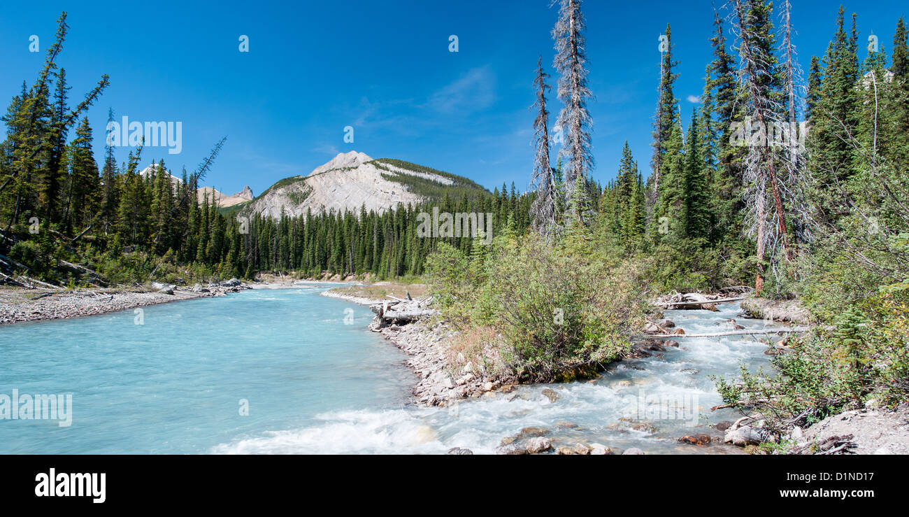 Jasper national park scenery hi-res stock photography and images - Alamy