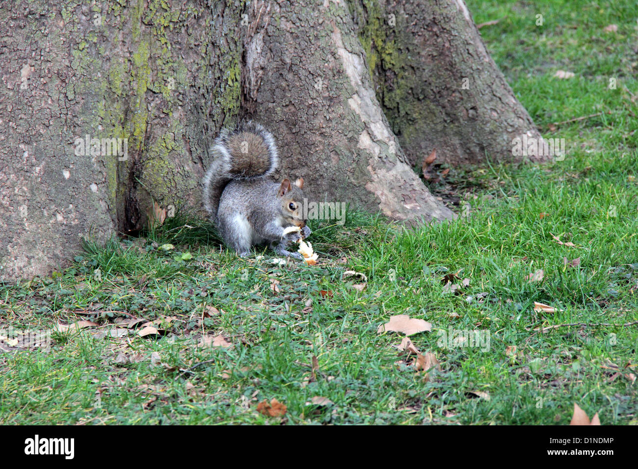 Philadelphia trunk hi-res stock photography and images - Alamy