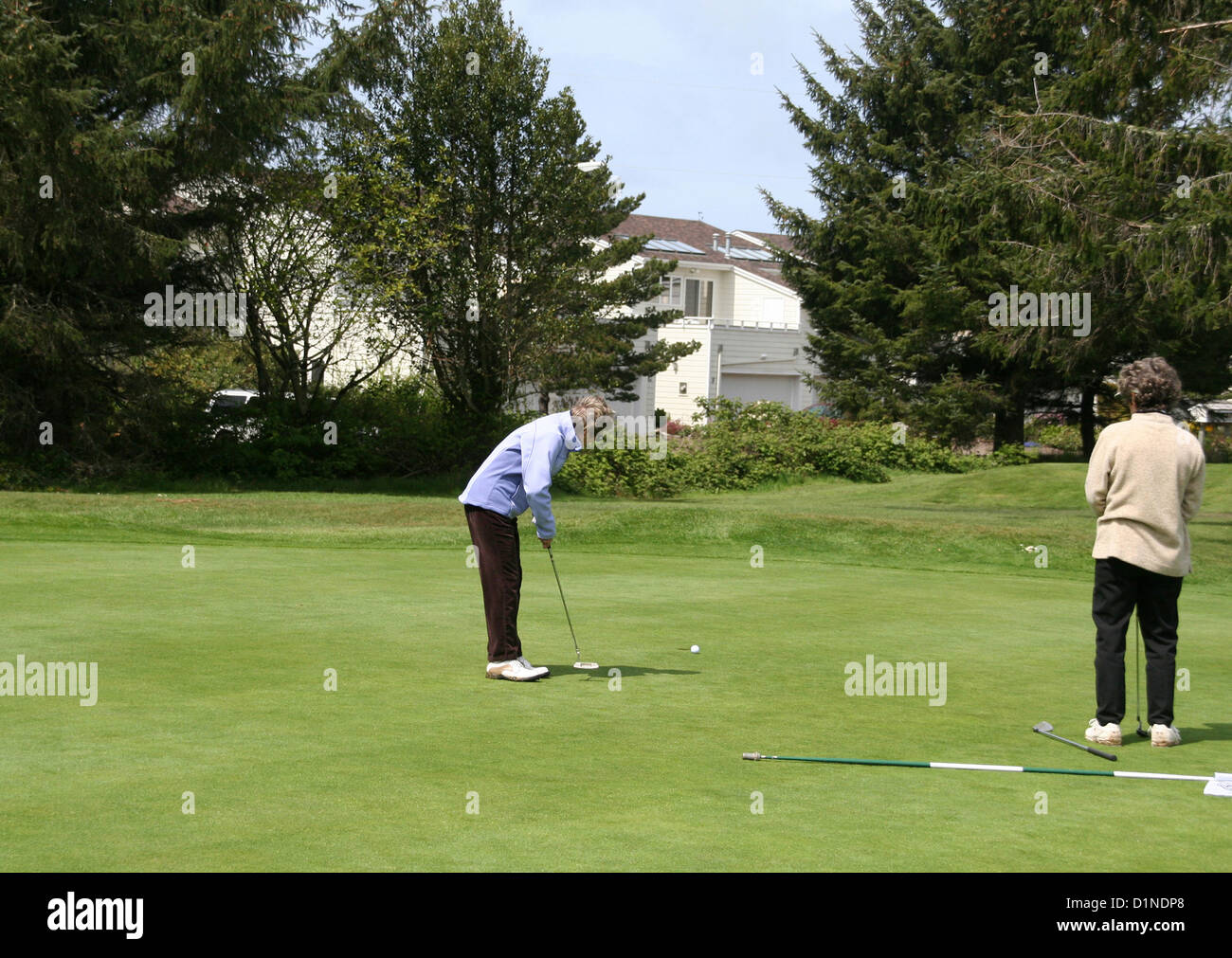 Woman golfer on putting green, Agate Beach Golf Course, Newport, Oregon ...