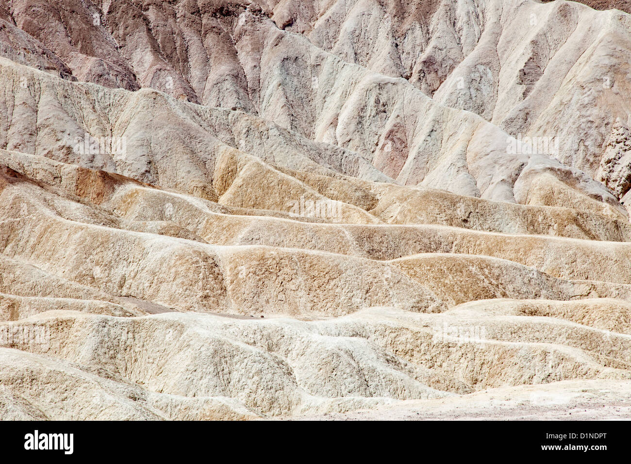 Dune Formation at Zabriskie Point, Death Valley NP, USA Stock Photo - Alamy