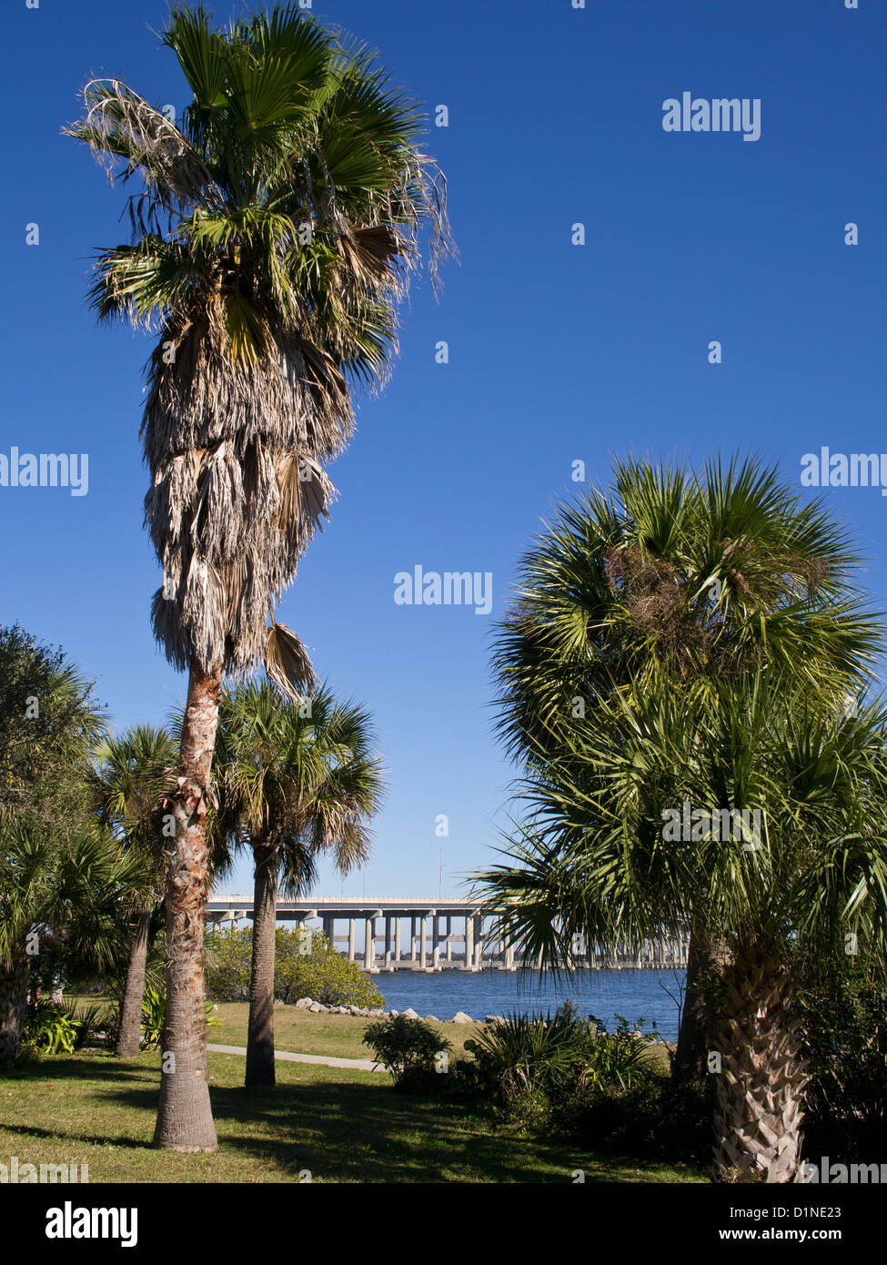 Indian river lagoon causeway hi-res stock photography and images - Alamy
