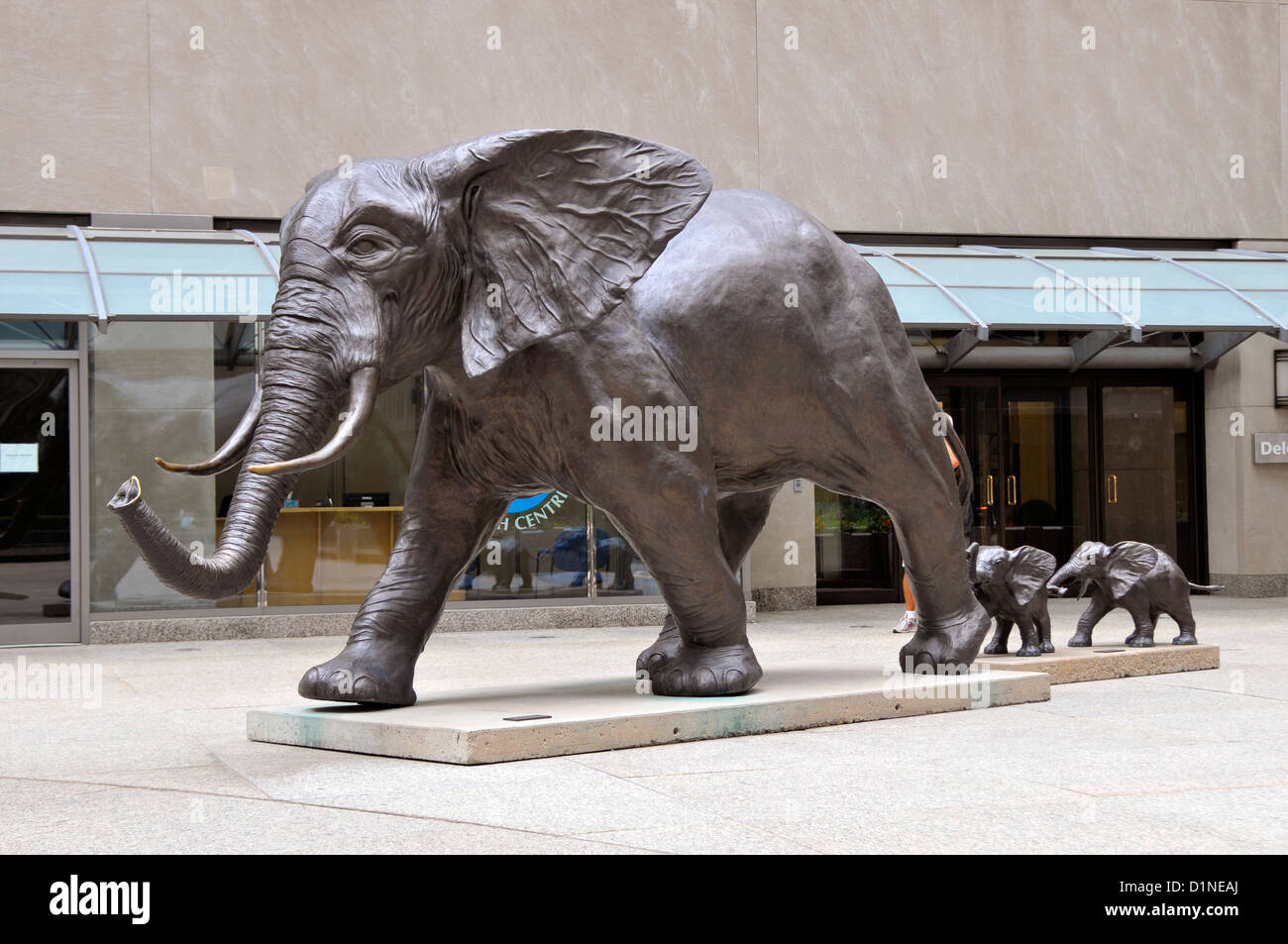 Elephants streets hi-res stock photography and images - Alamy