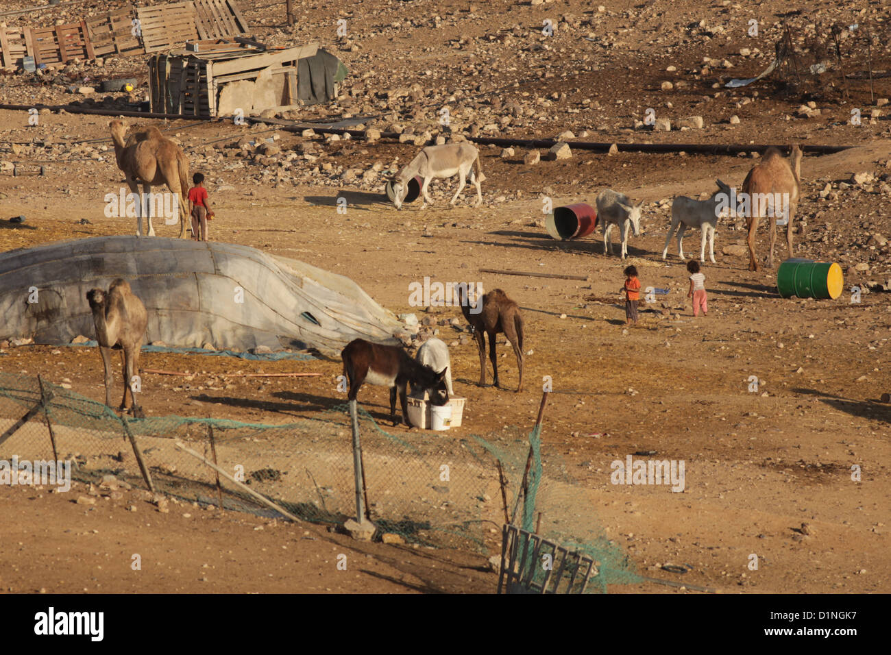 Israel, Negev Desert, Hovels in a Bedouin village Stock Photo - Alamy