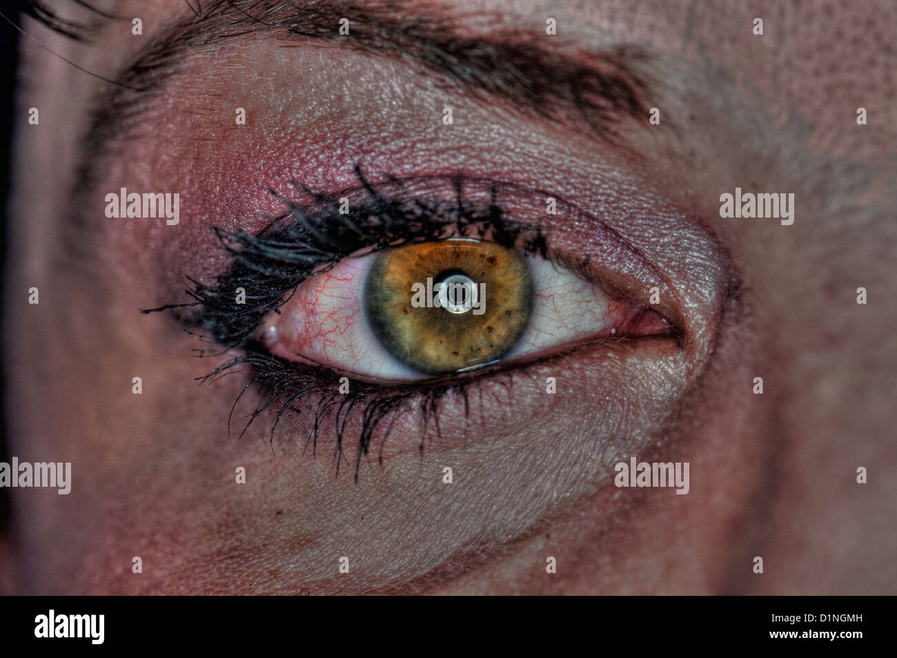 Map of eyebrow hi-res stock photography and images - Alamy