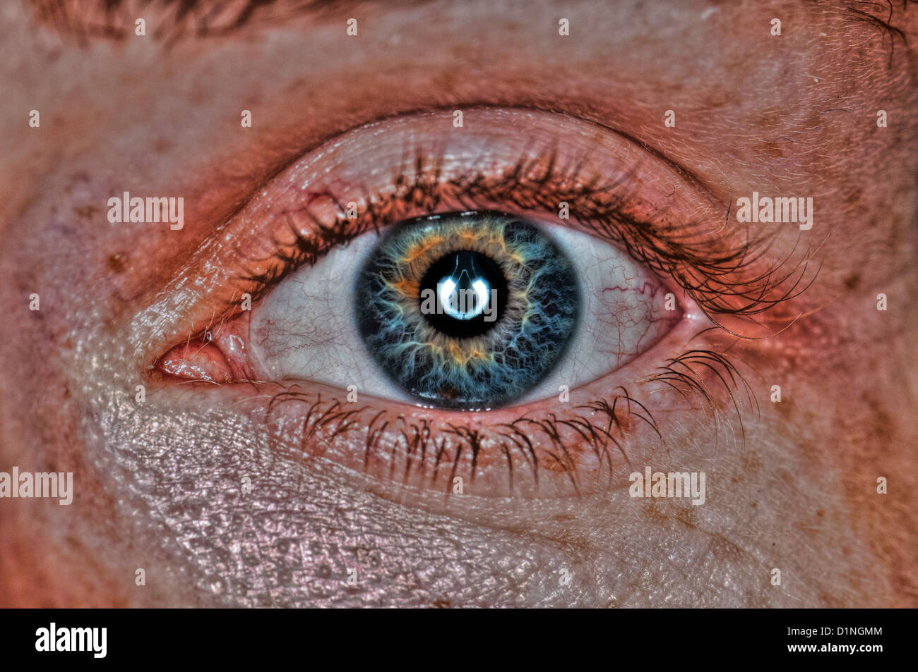 Extreme closeup of a human eye green Stock Photo - Alamy