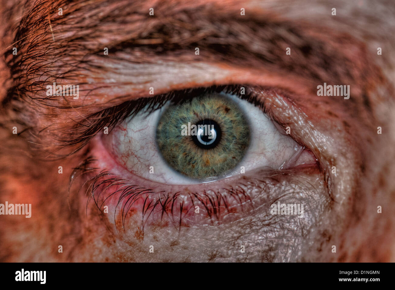 Extreme closeup of a human eye gray Stock Photo - Alamy