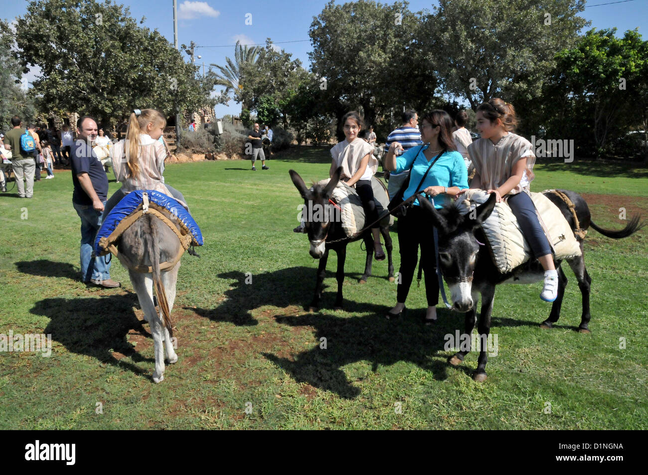 Children ride donkeys at a petting zoo Stock Photo - Alamy