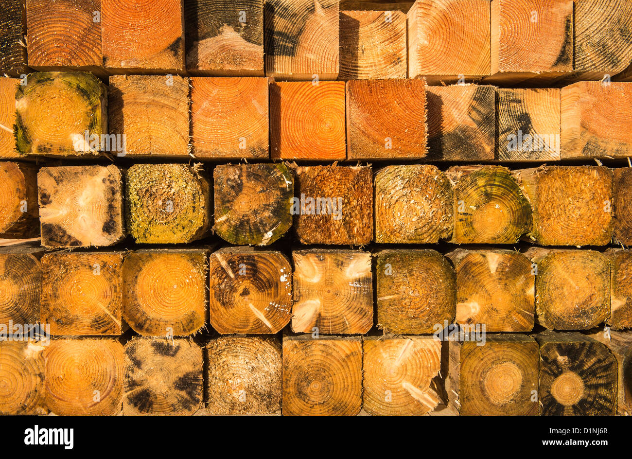 Stacked Cut Wooden Posts Stock Photo - Alamy