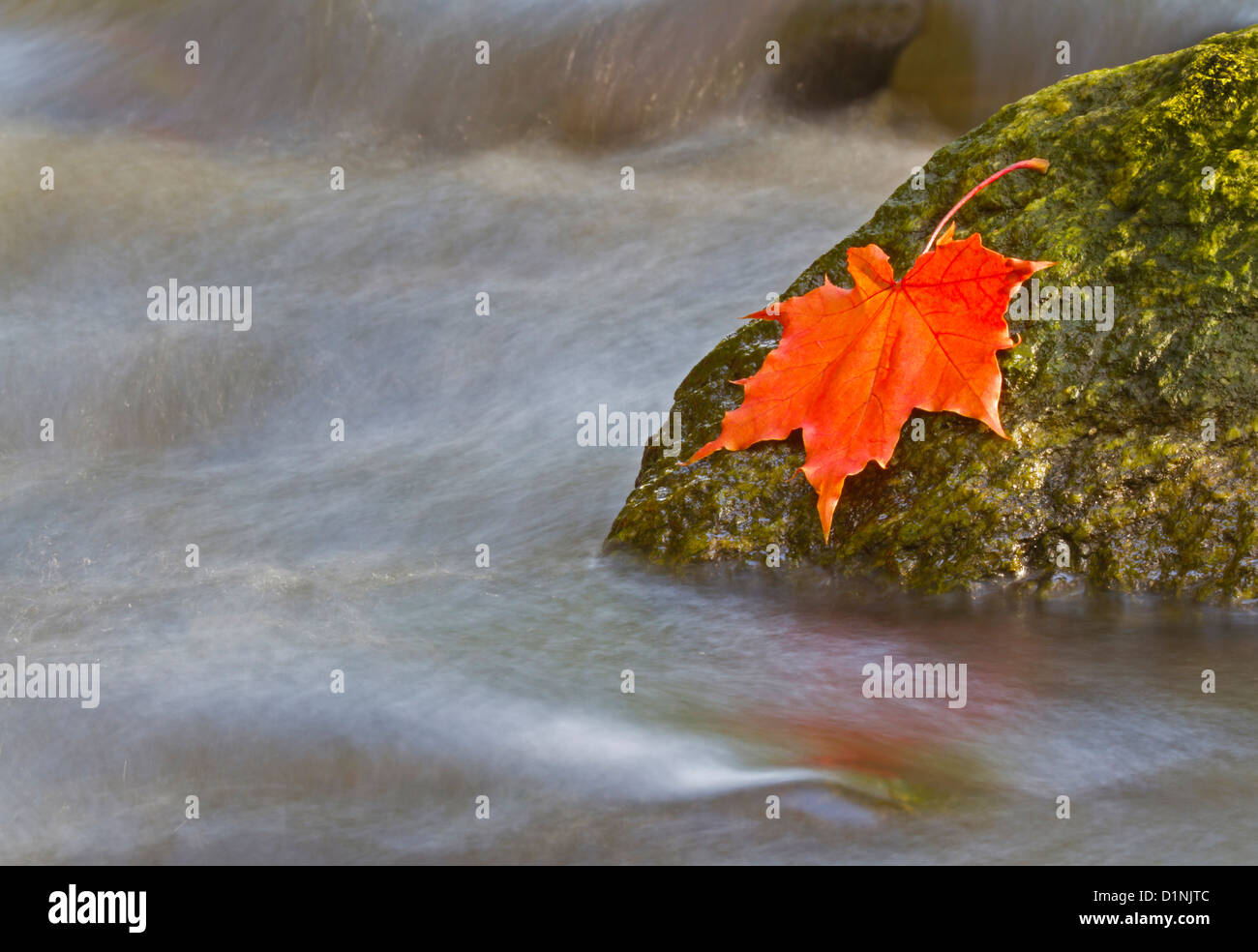 Stream course hi-res stock photography and images - Alamy