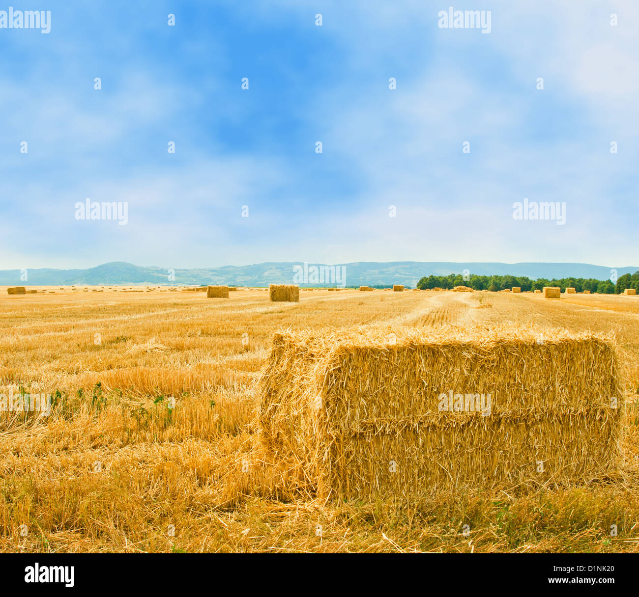 Hay bale in the countryside Stock Photo - Alamy
