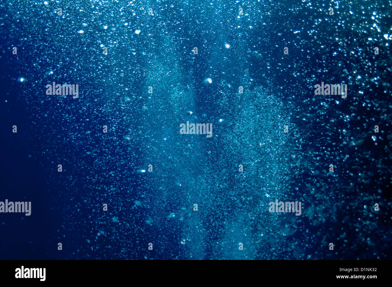 Blowing bubbles underwater hi-res stock photography and images - Alamy