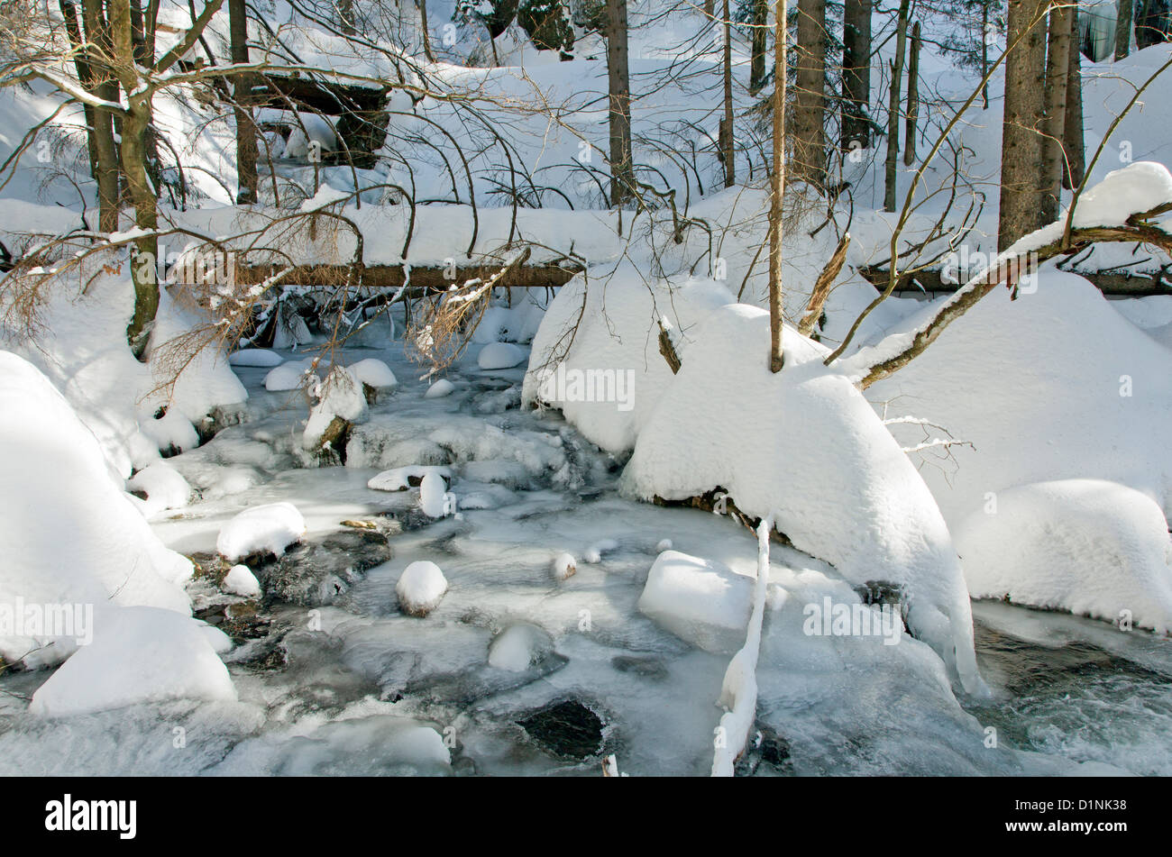 Nearly natural stream, Germany Stock Photo - Alamy