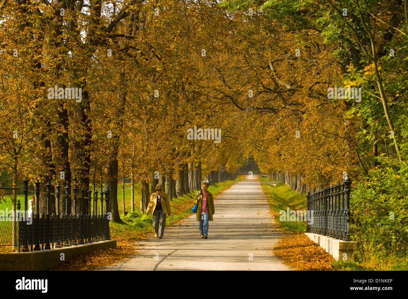 Österreich, Wien 13, Lainzer Tiergarten, ein ehemals eingefriedetes ...