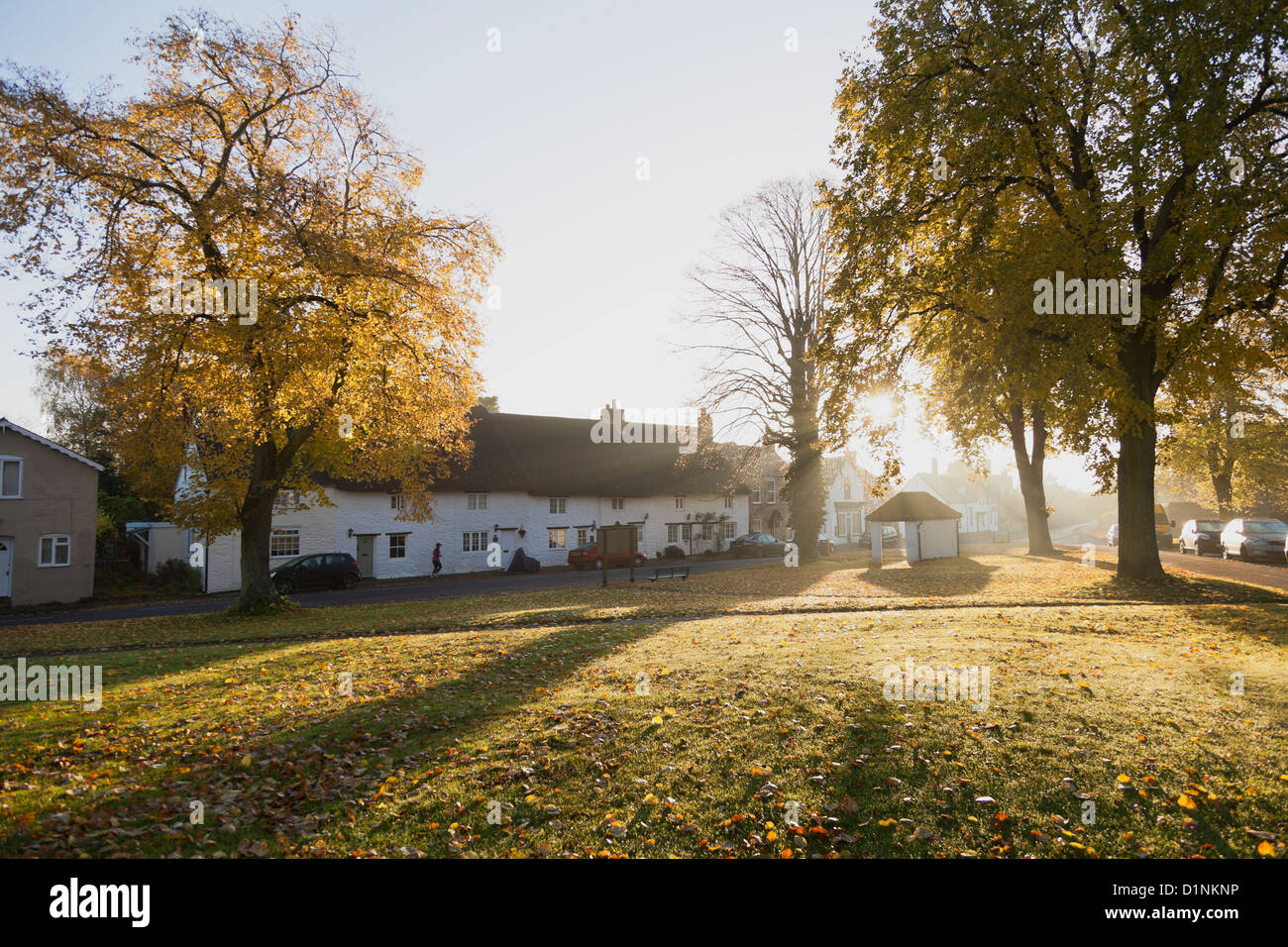 Stanford in the Vale in autumn Stock Photo - Alamy