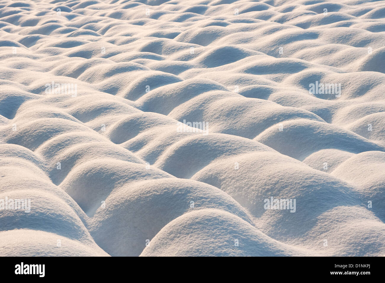 Winter composition by snow wave background Stock Photo - Alamy