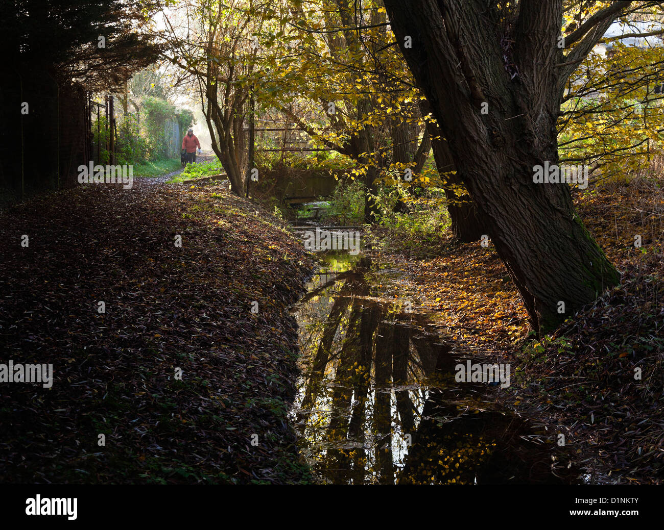 Stanford In The Vale High Resolution Stock Photography and Images - Alamy