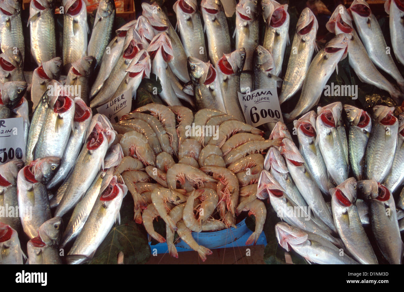 Istanbul fish market display of fishes and prawns Stock Photo - Alamy