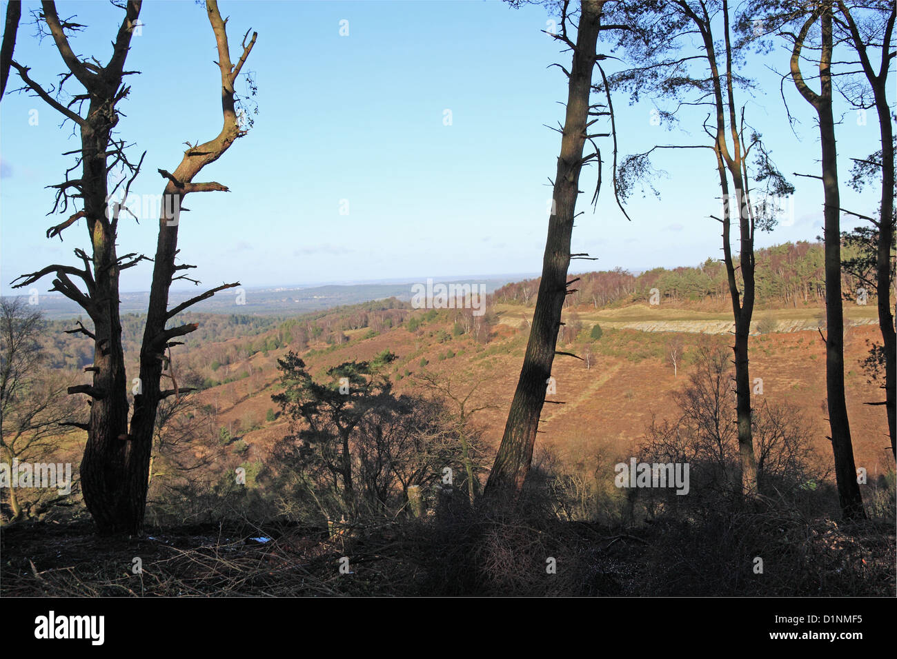 Hindhead old a3 road hi-res stock photography and images - Alamy