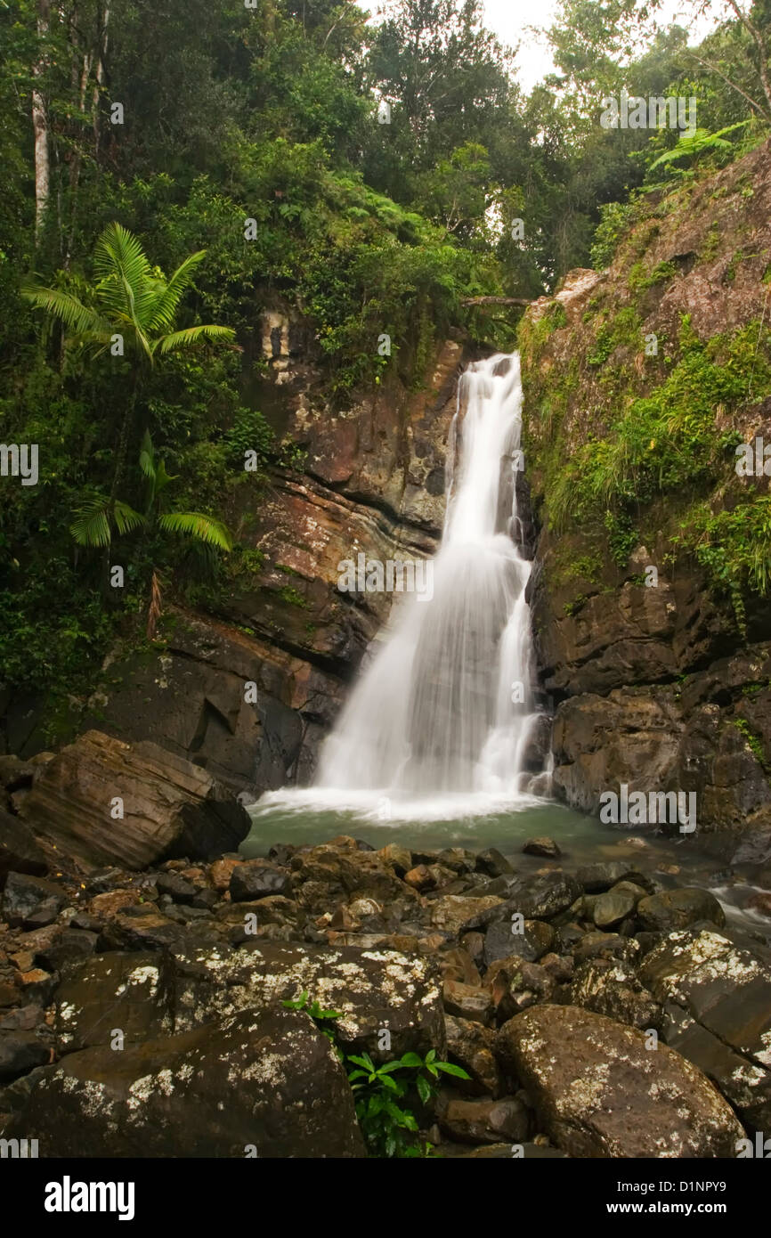 La Mina Falls, El Yunque (Caribbean National Forest), Puerto Rico Stock ...