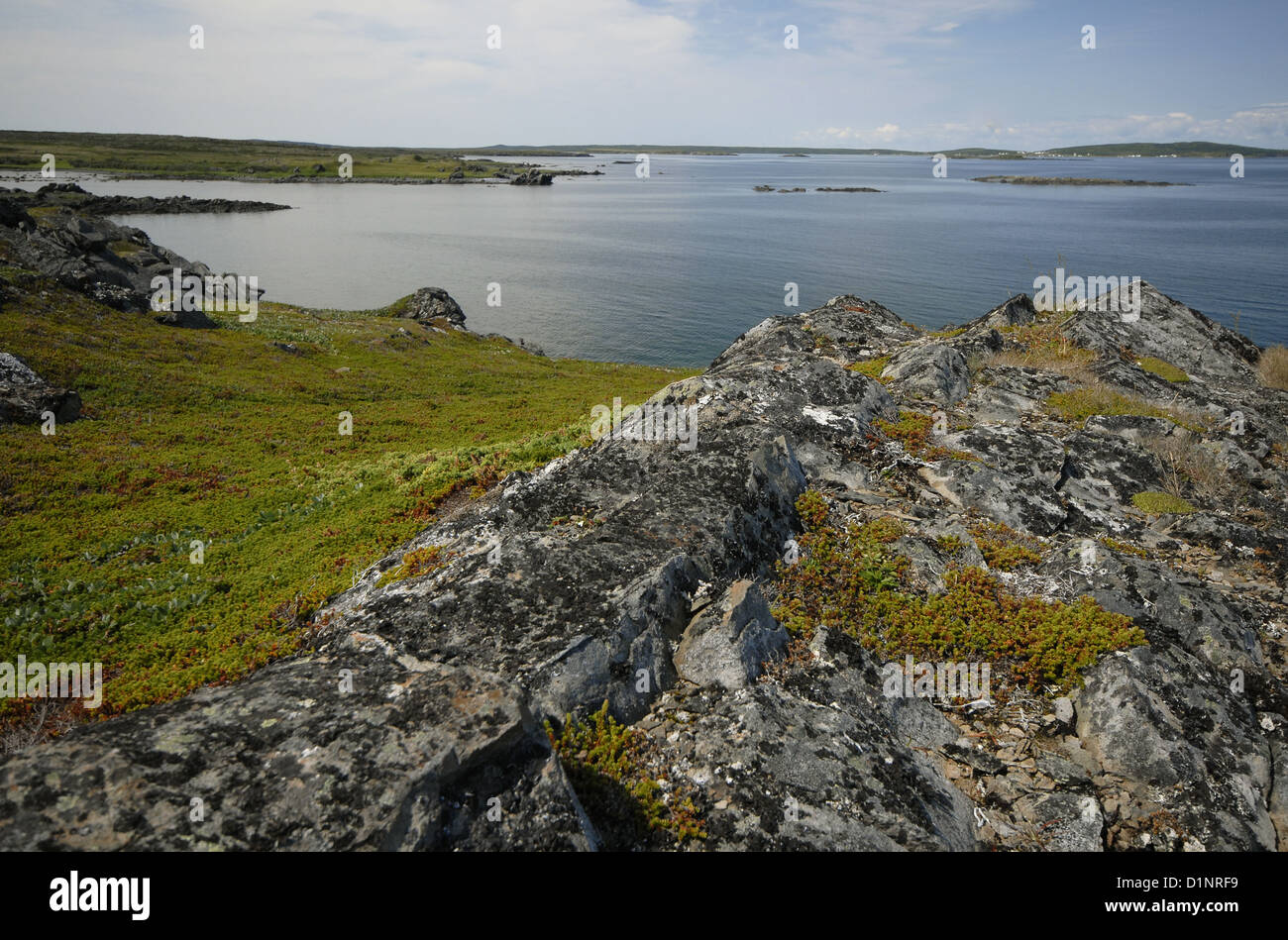 A rocky shoreline in Newfoundland Stock Photo - Alamy