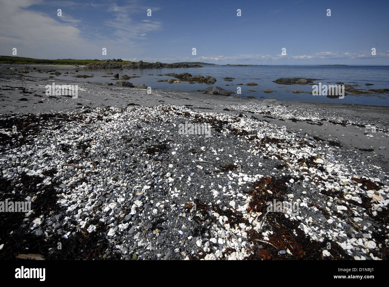 Newfoundland northern peninsula hi-res stock photography and images - Alamy