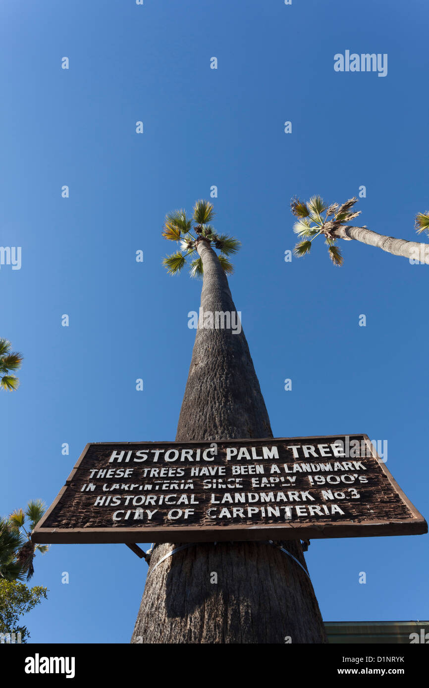Carpinteria Historic Palm Tree palm tree sign Stock Photo - Alamy