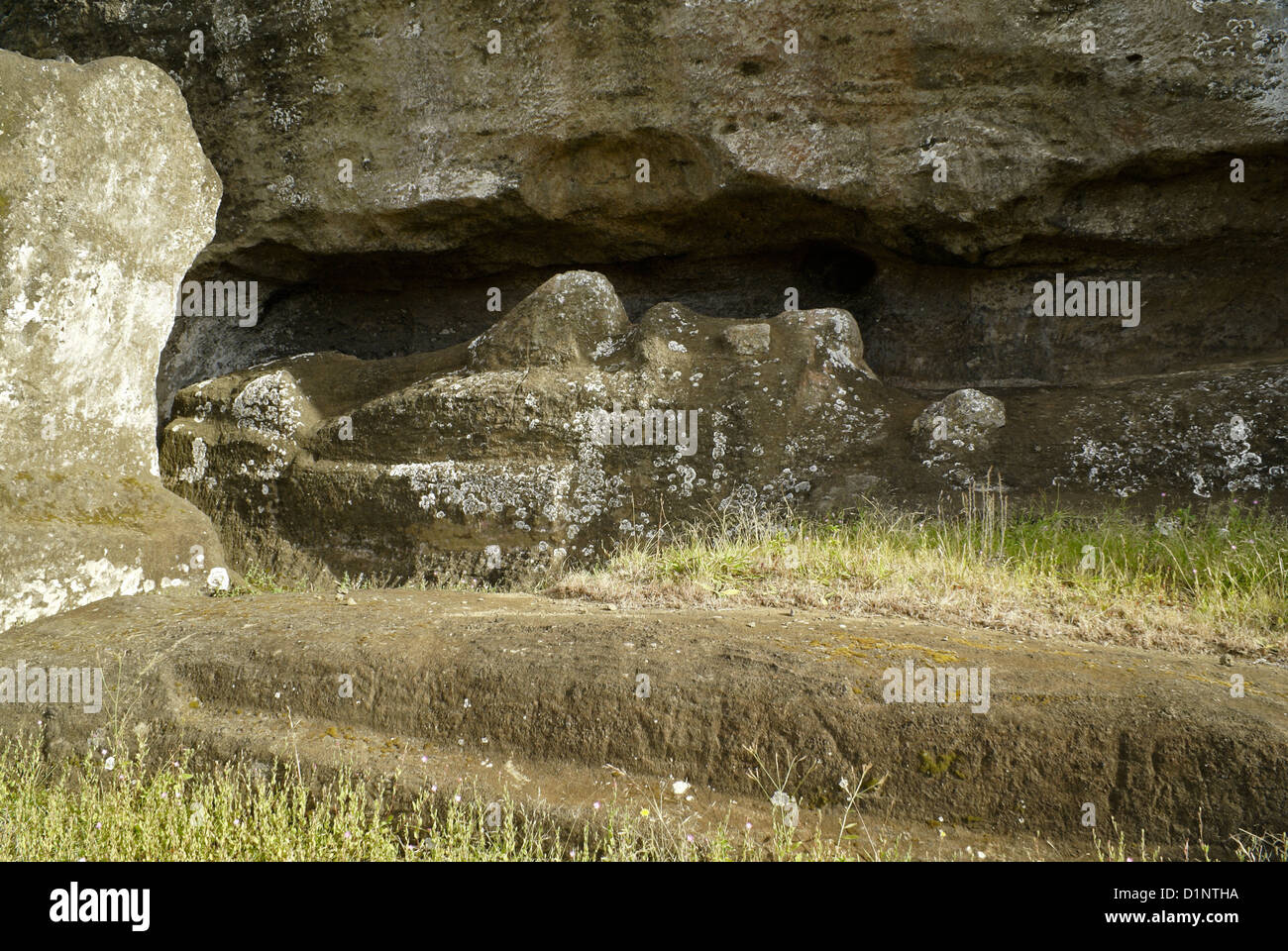 Unfinished statues quarry easter island hi-res stock photography and ...