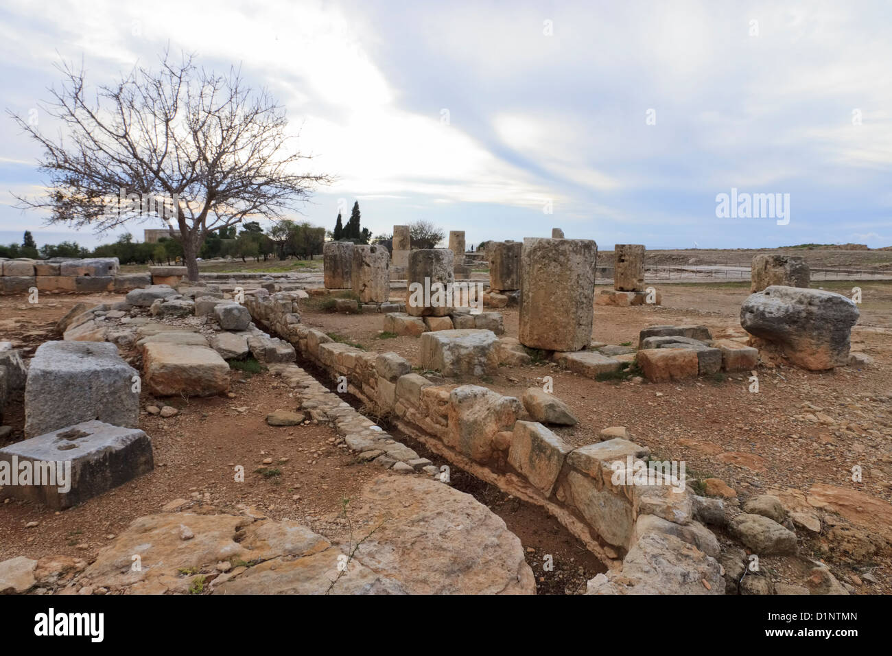 Runs at the ancient sanctuary of Aphrodite, Paphos area, Cyprus Stock ...