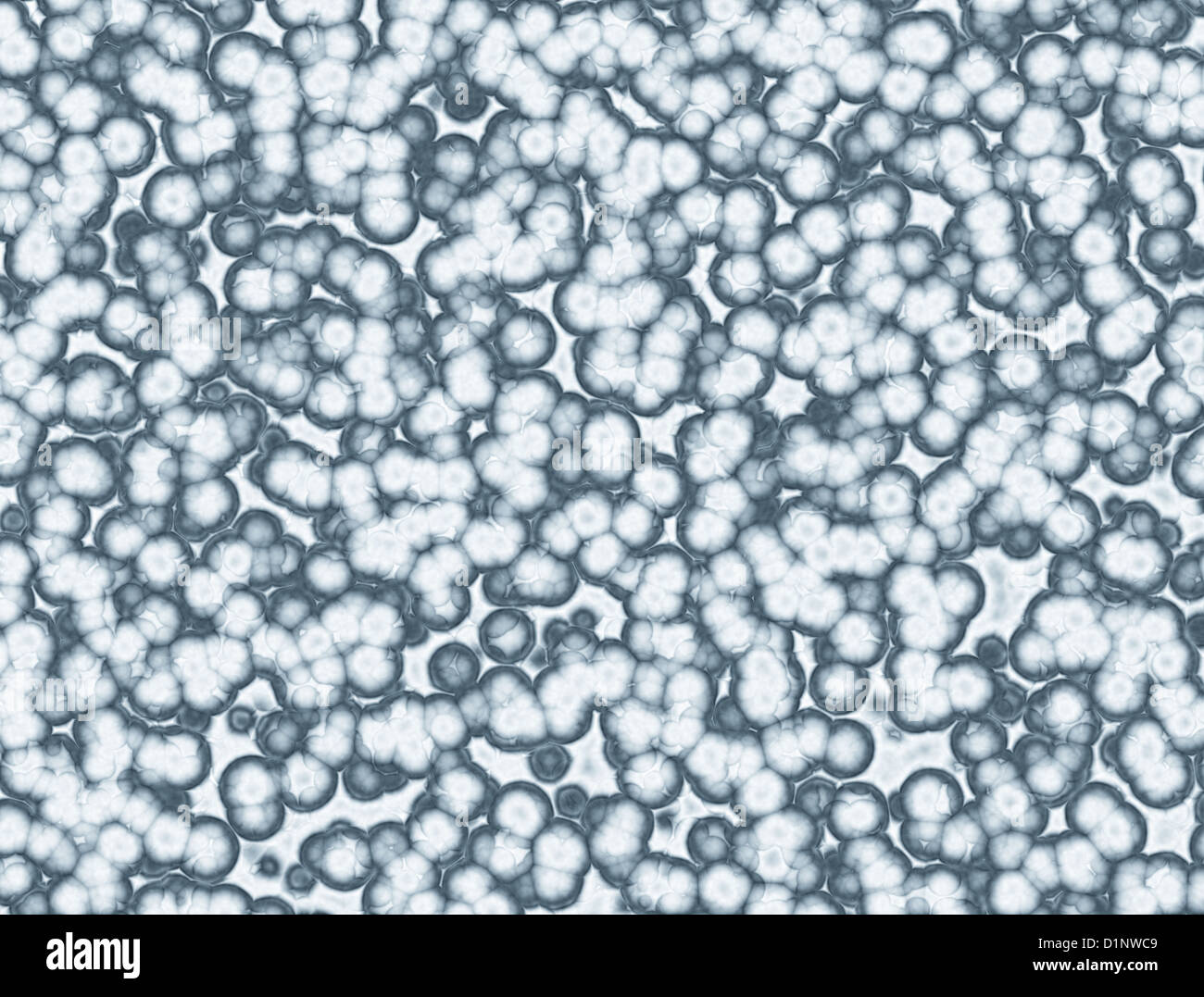 Cells background large resolution Stock Photo - Alamy