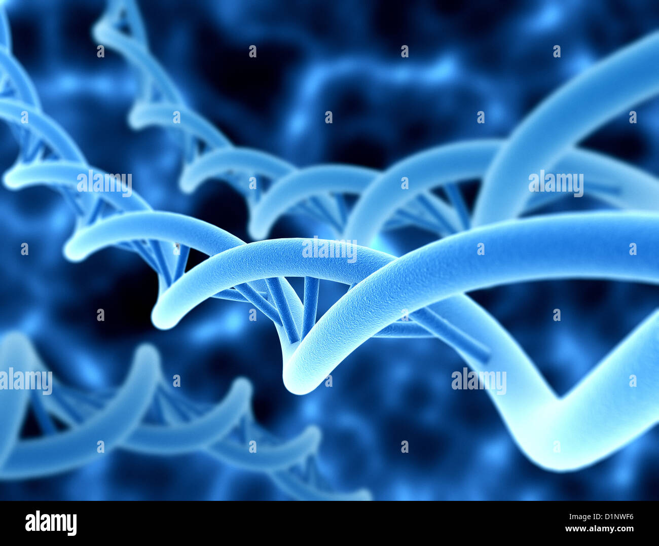 Chromosome chromatid centromere hi-res stock photography and images - Alamy