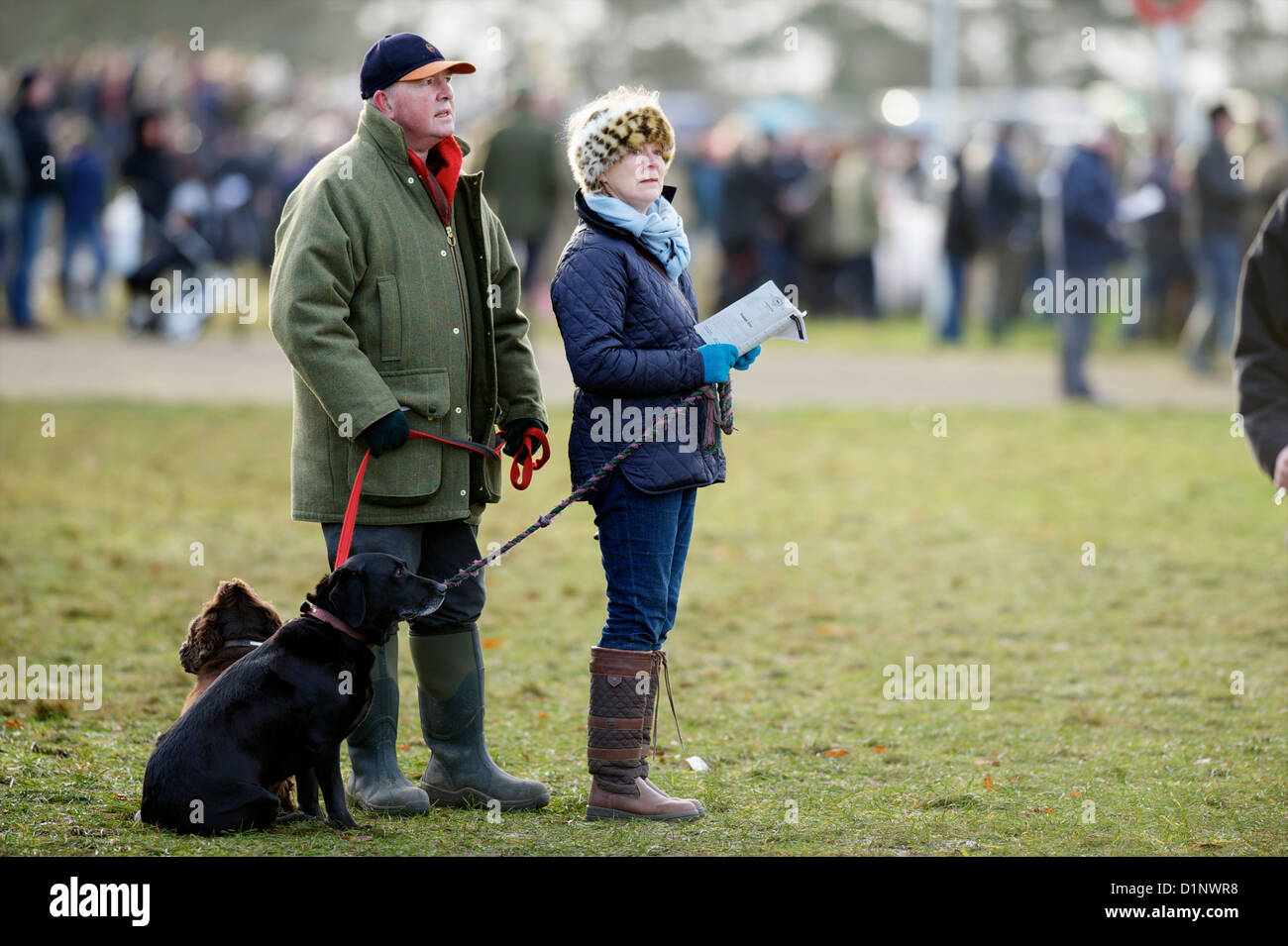 Cottenham Horse Racing Point to Point Stock Photo - Alamy
