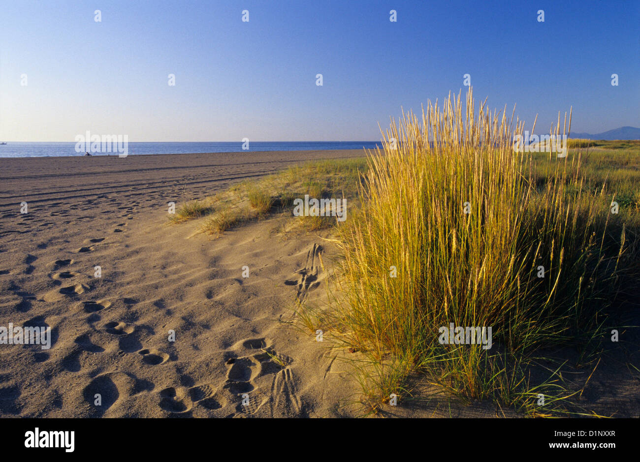 Beach at Port Barcares, Eastern Pyrenees, Languedoc-Roussillon, France ...