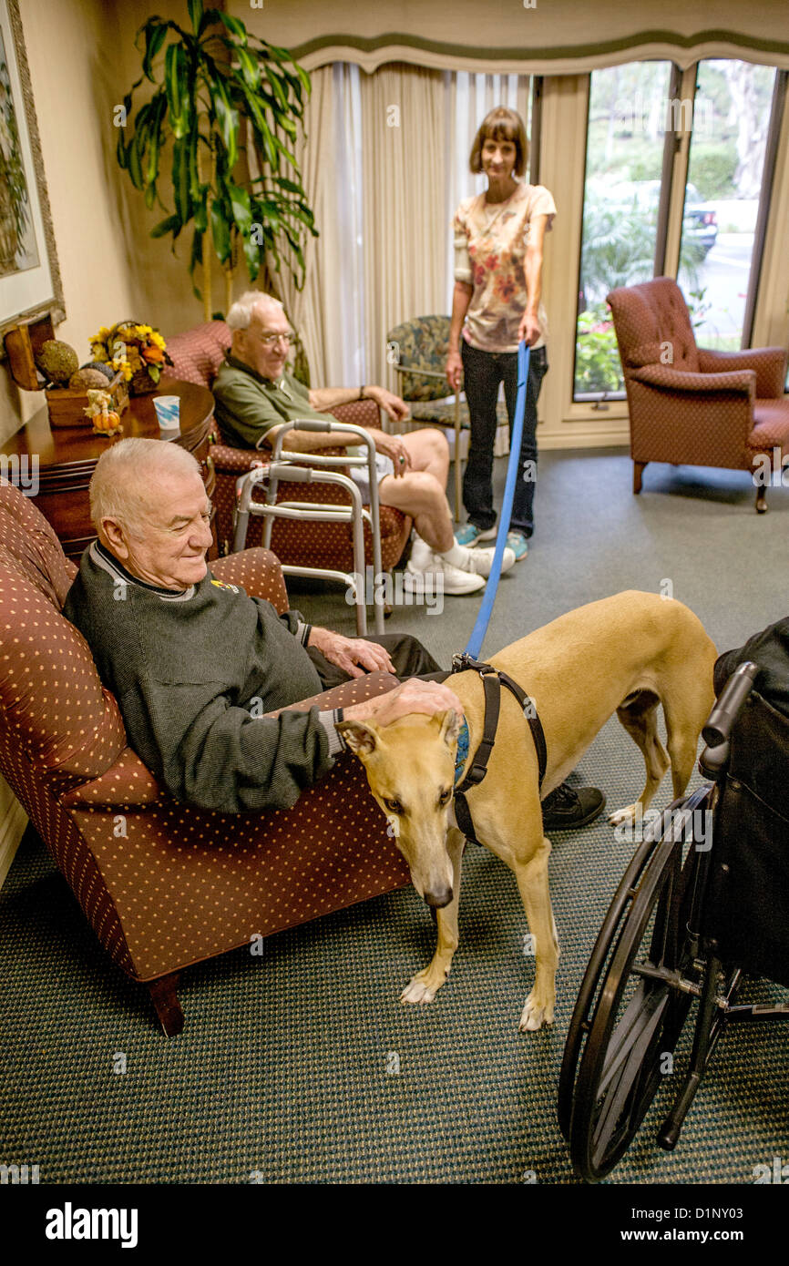 Volunteers bring therapy dogs to a retirement home in Mission Viejo, CA ...