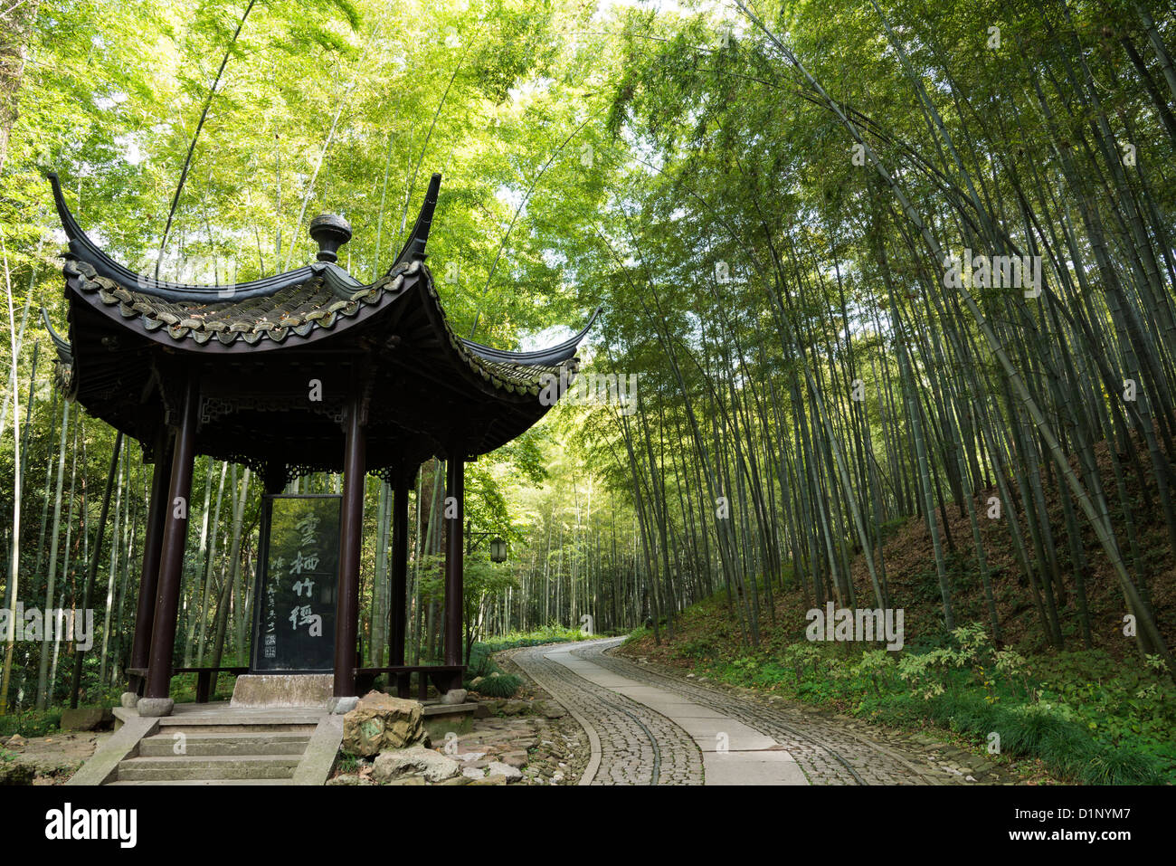 China bamboo forest scenery hi-res stock photography and images - Alamy