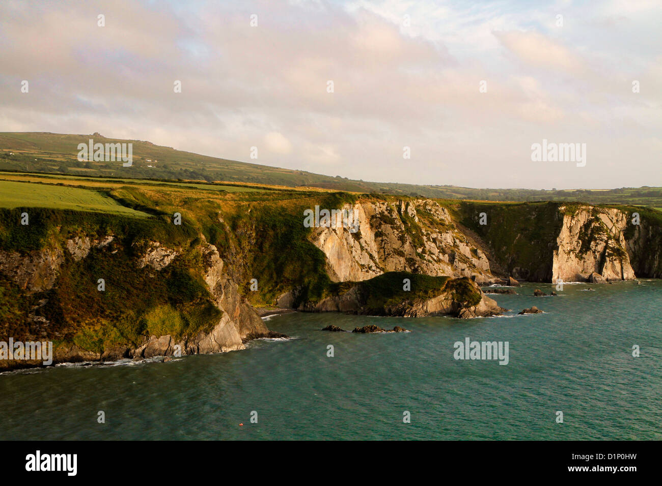 The North Pembrokeshire coast viewed from the coast path at Dinas Head ...