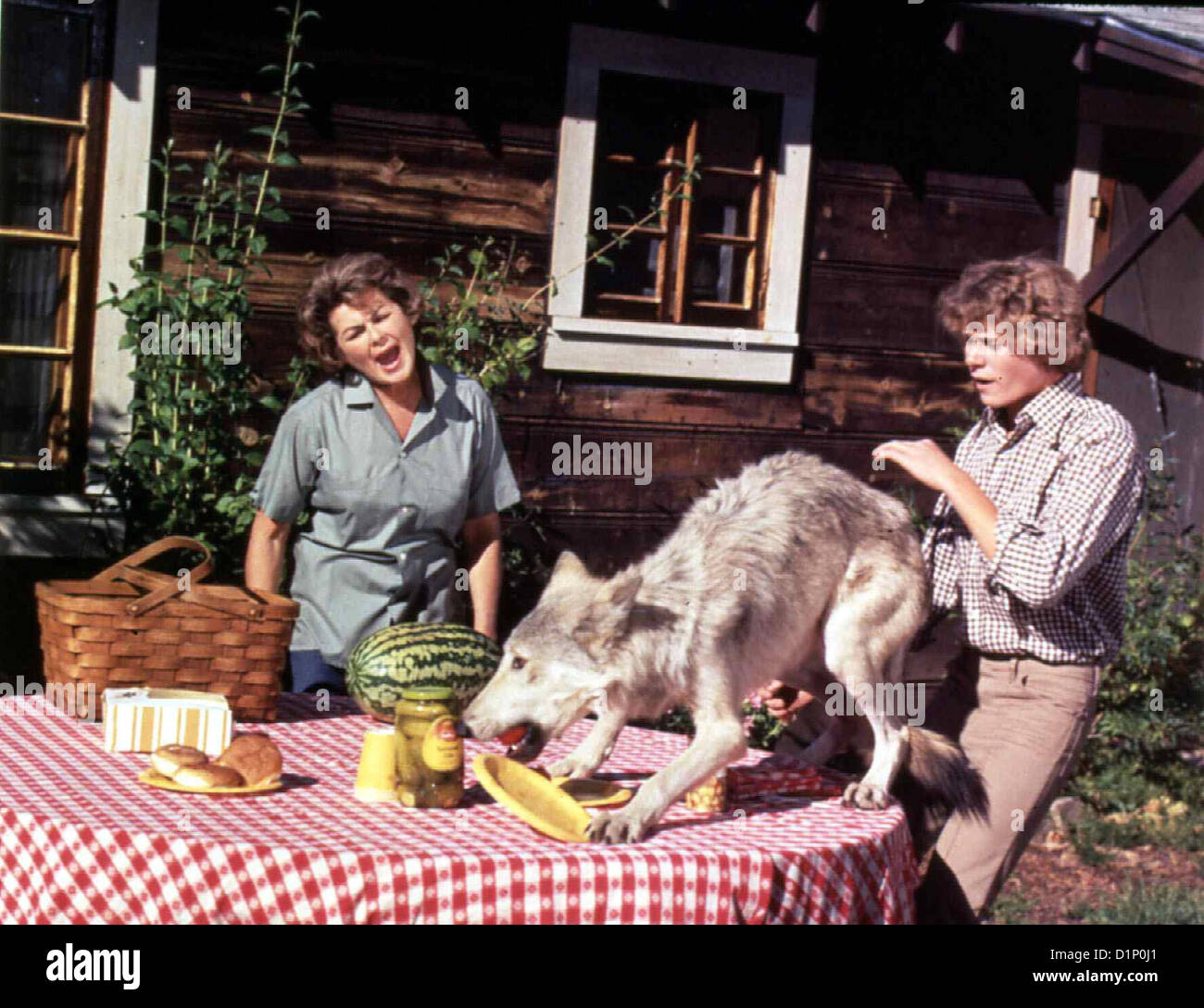 Ein Wolf Kehrt Zurück Flight Grey Wolf, Barbara Hale, Jeff East Die ...