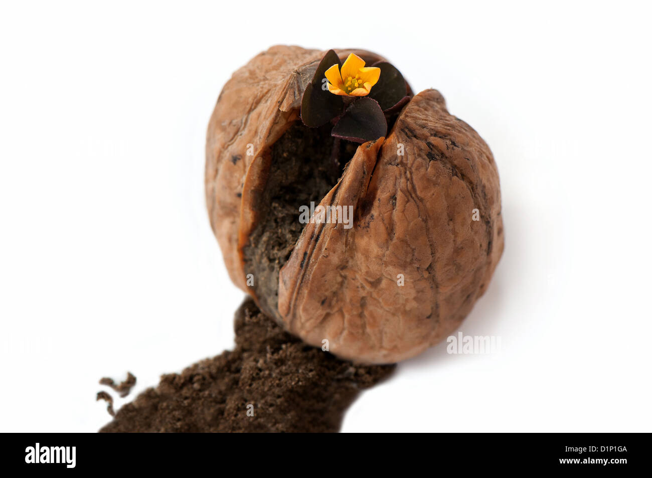 Breaking the soil hi-res stock photography and images - Alamy