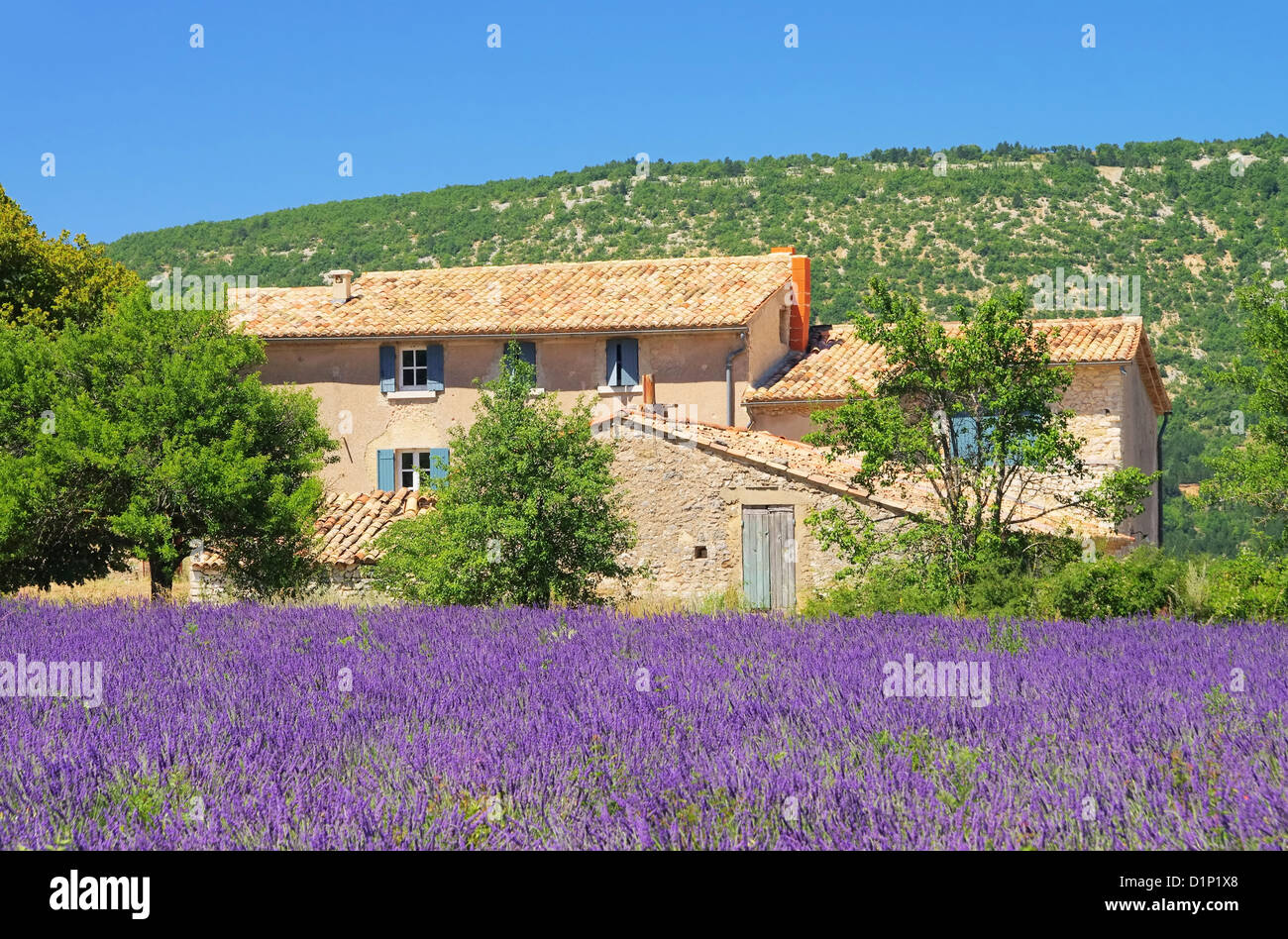 France lavender house hi-res stock photography and images - Alamy