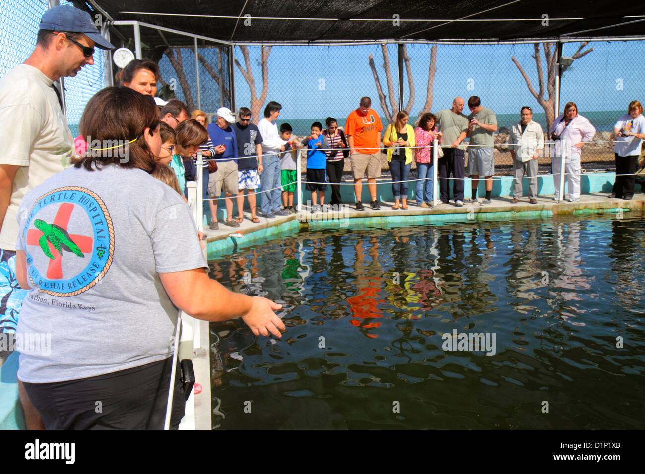 Turtle hospital marathon key florida hi-res stock photography and ...