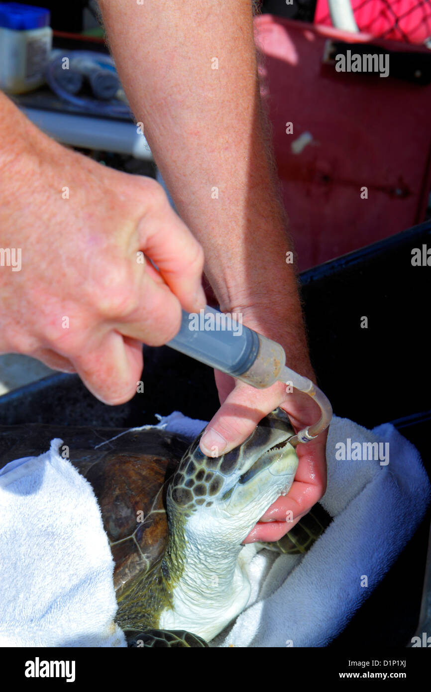 Florida Florida Keys,US highway Route 1 One,Overseas Highway,Vaca Key ...