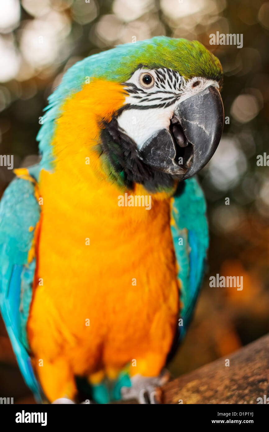 Randers Zoo High Resolution Stock Photography and Images - Alamy