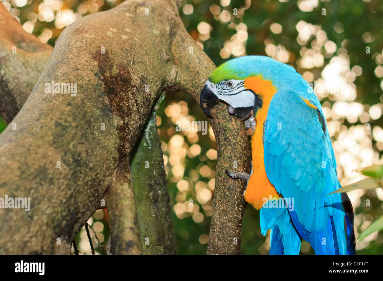Randers Zoo High Resolution Stock Photography and Images - Alamy
