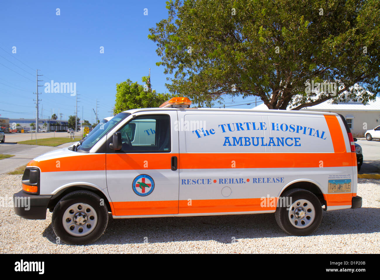 Turtle hospital ambulance hi-res stock photography and images - Alamy
