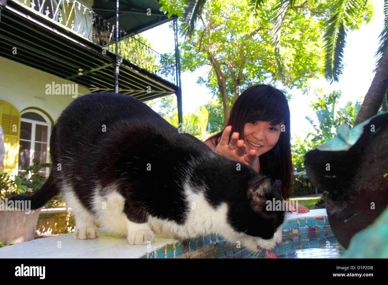 Florida Key West Florida,Keys Whitehead Street,The Ernest Hemingway ...