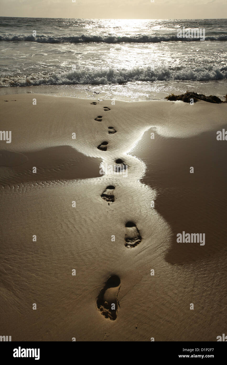 One set of human footprints in the wet sand on a deserted beach in the ...