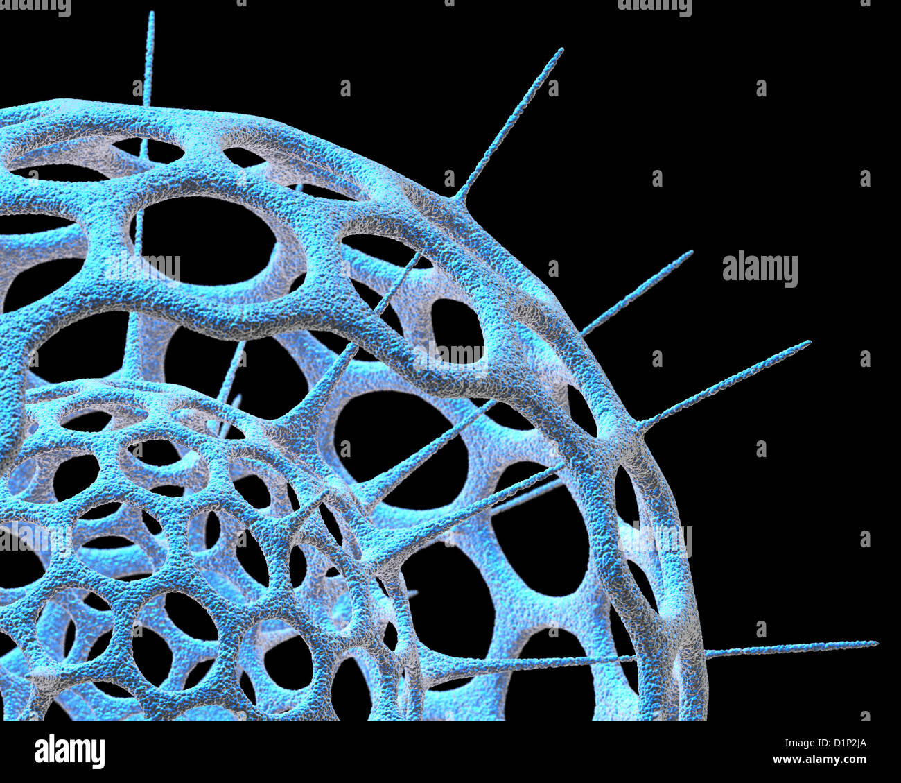 Radiolarian skeleton, artwork Stock Photo - Alamy
