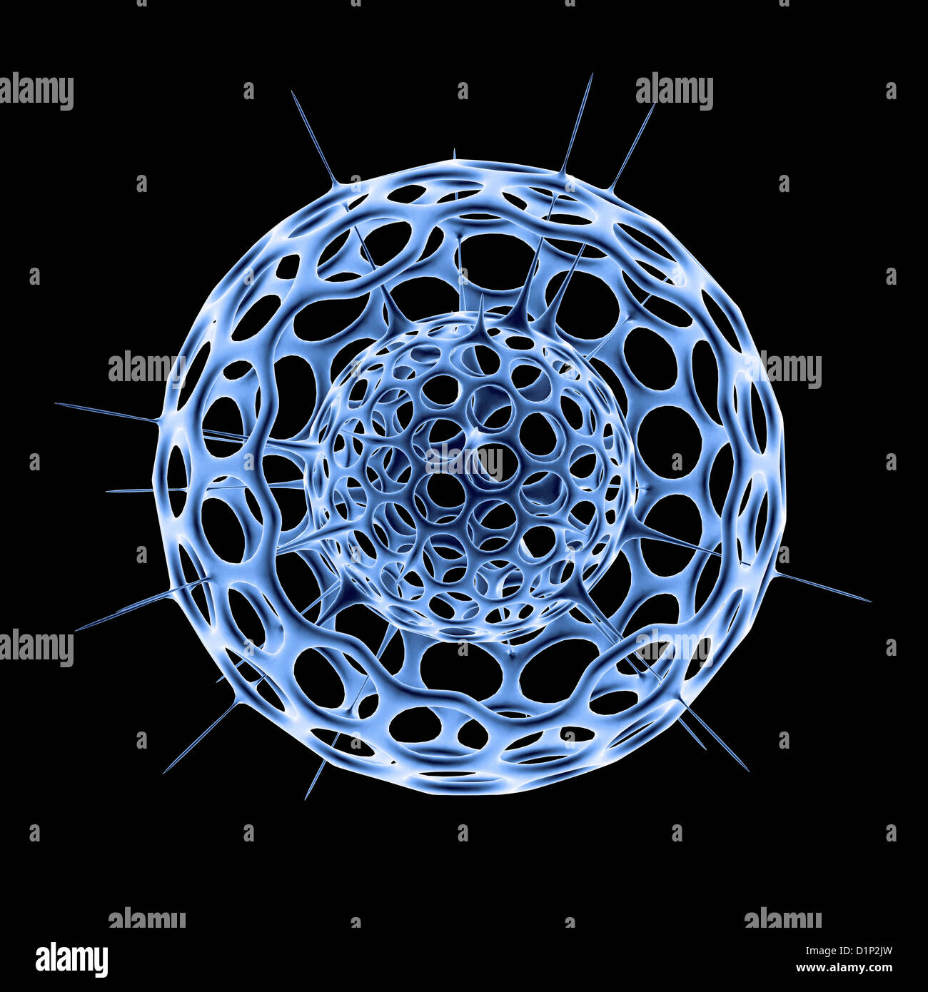 Radiolarian skeleton hi-res stock photography and images - Alamy
