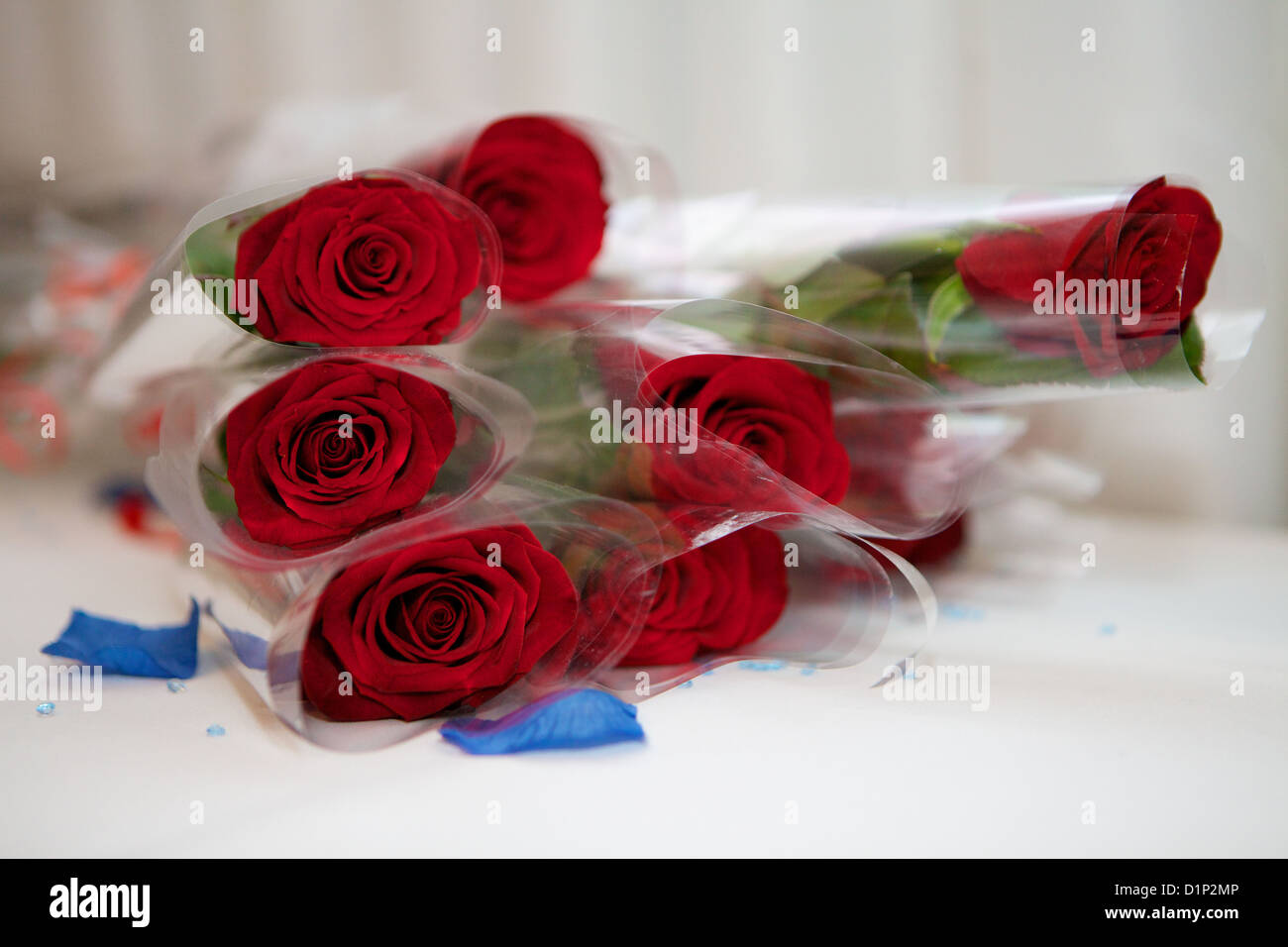 Deep red single roses lying on table Stock Photo - Alamy