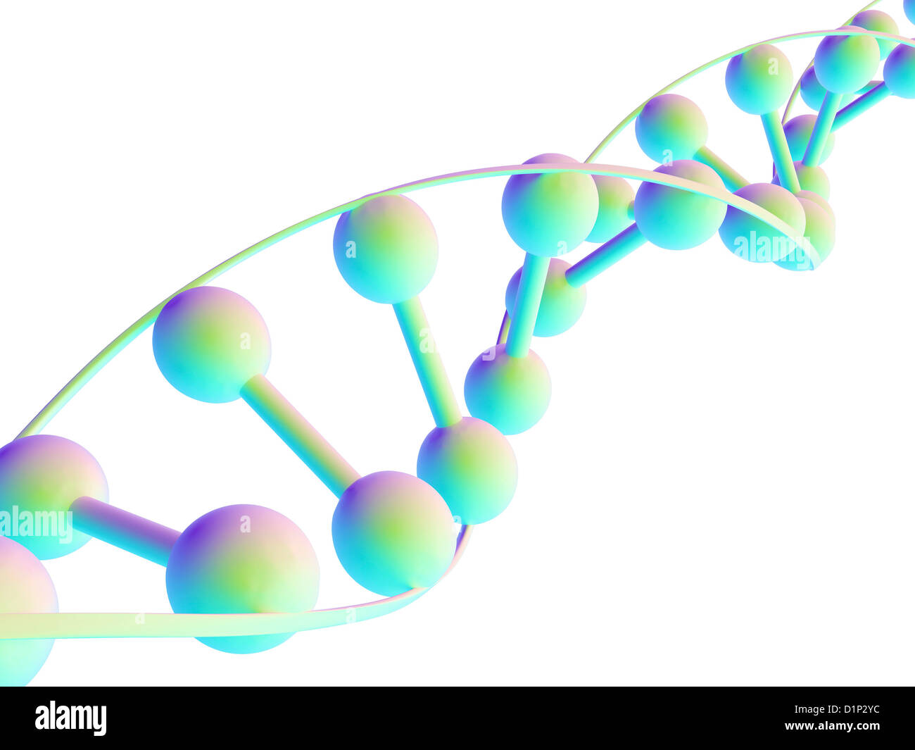 DNA molecule, computer artwork Stock Photo - Alamy